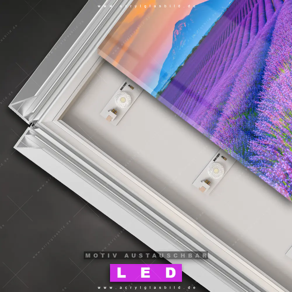 LED Acrylglasbild ️ Lavendelfeld | Canvalight® DIA | Querformat ...