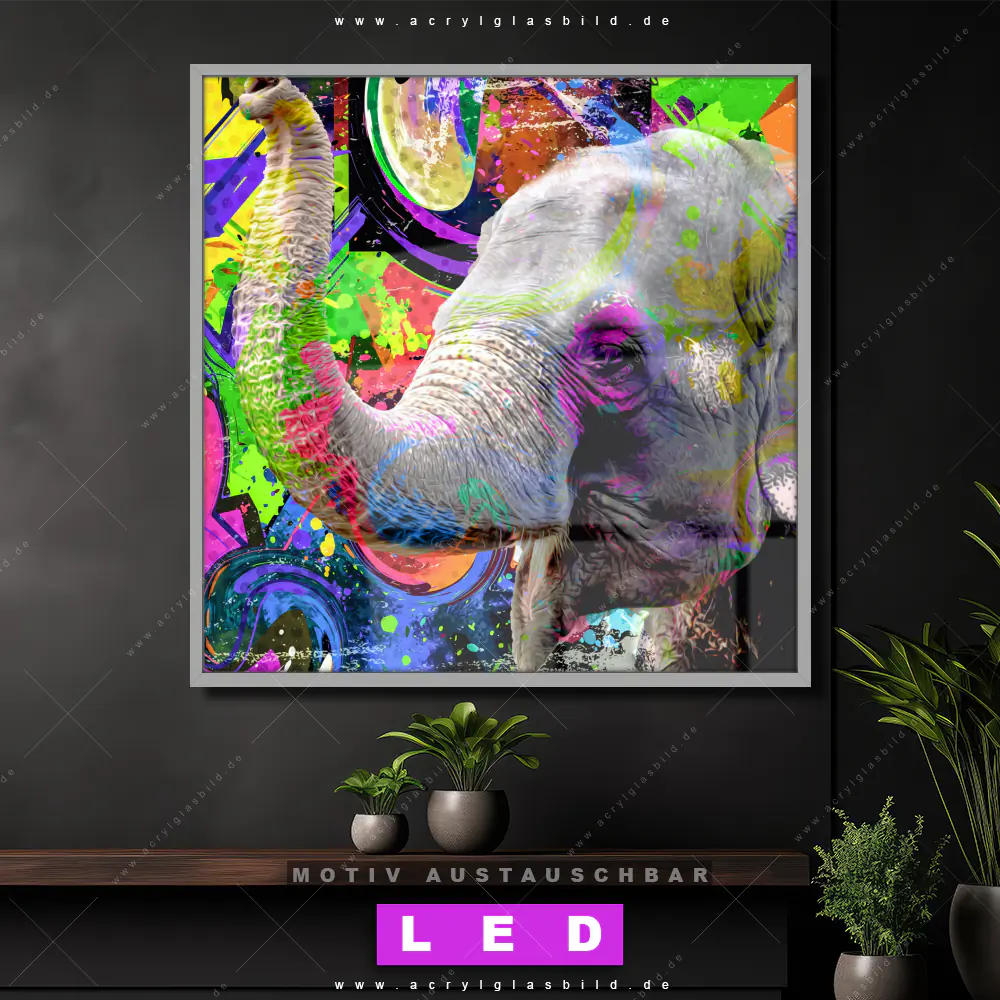 LED Acrylglasbild ️ Bunter Elefant | Canvalight® DIA | Quadrat ...